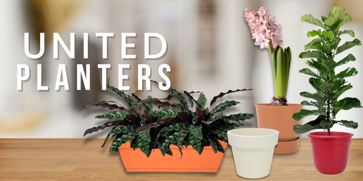 Elho & Florus Planters